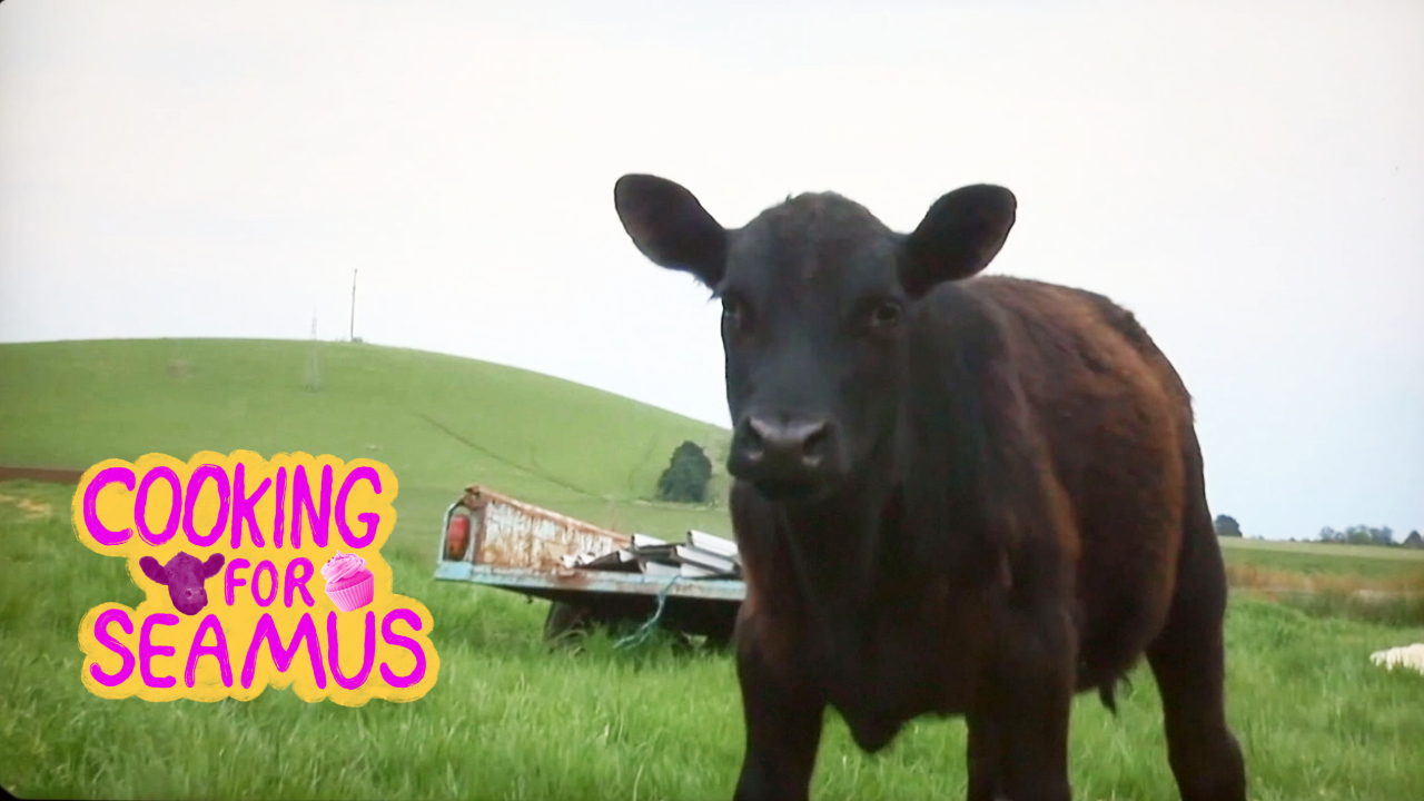 Cooking for Seamus | Documentary Australia